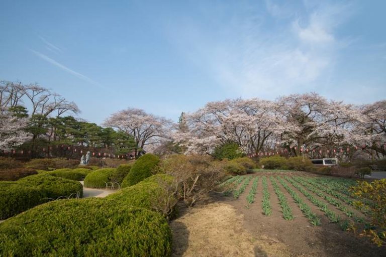 Numata Castle : A Study of Japanese Bibliography - JapaneseCastle.JP